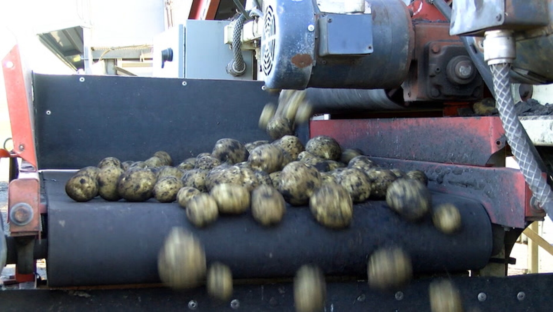 Trio of ag friends help Red River Valley grow taller - Agweek | #1 ...