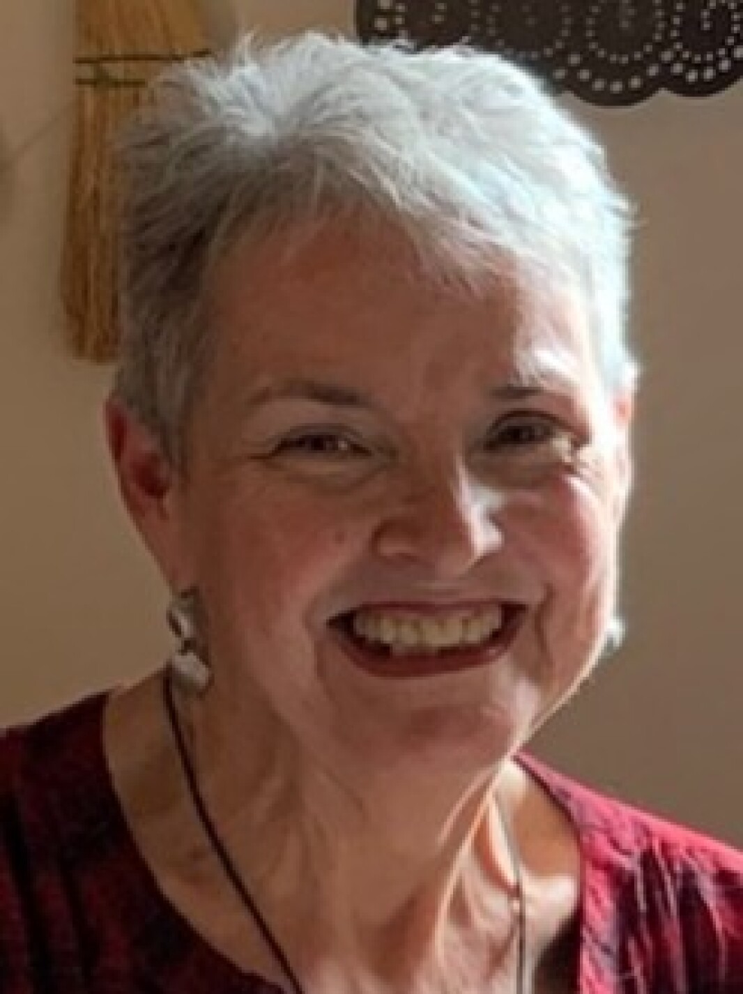 Brenda Lee Thorson - Post Bulletin | Rochester Minnesota news, weather ...