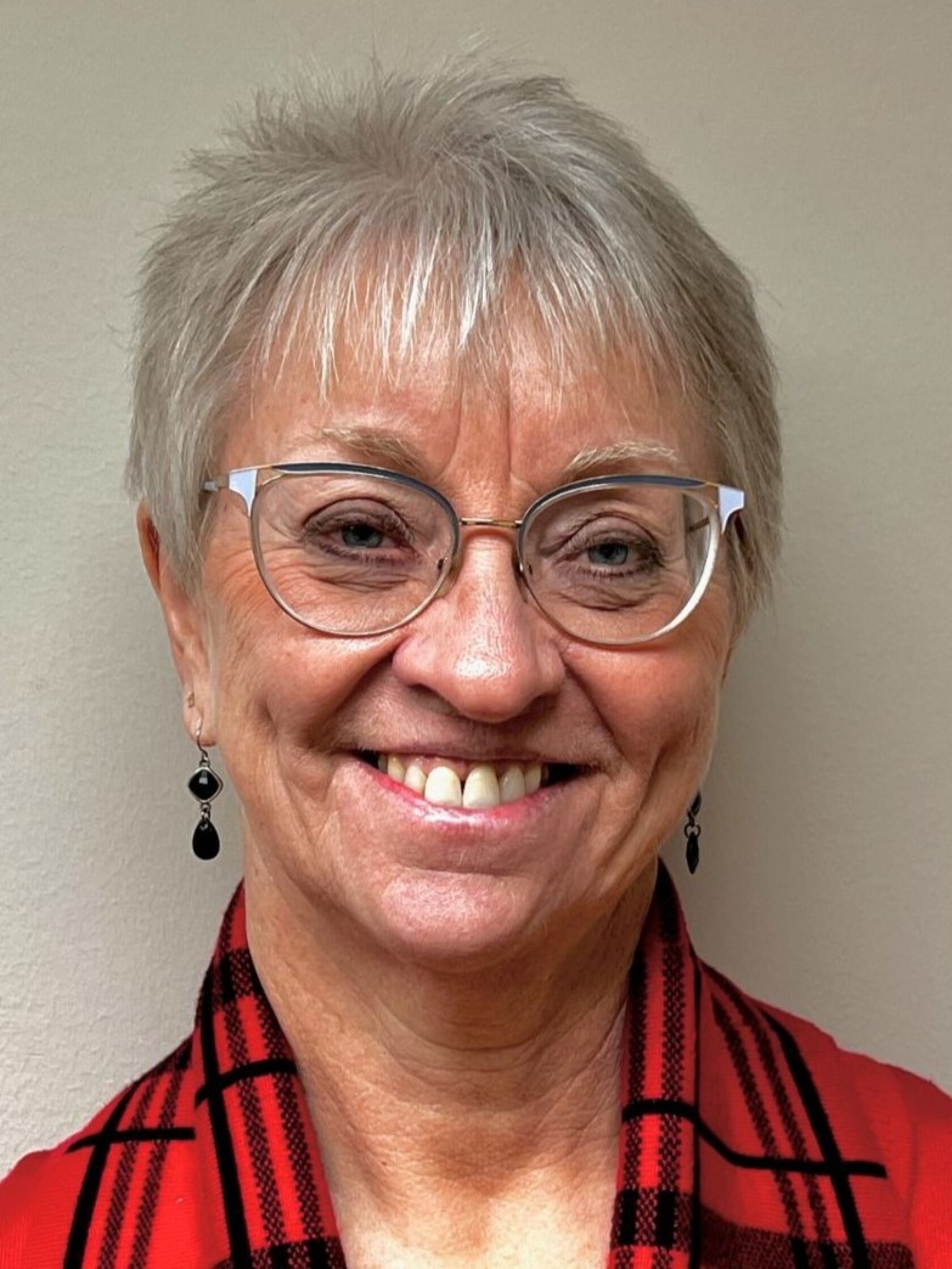 Laurie Jean Maidl - Post Bulletin | Rochester Minnesota news, weather ...