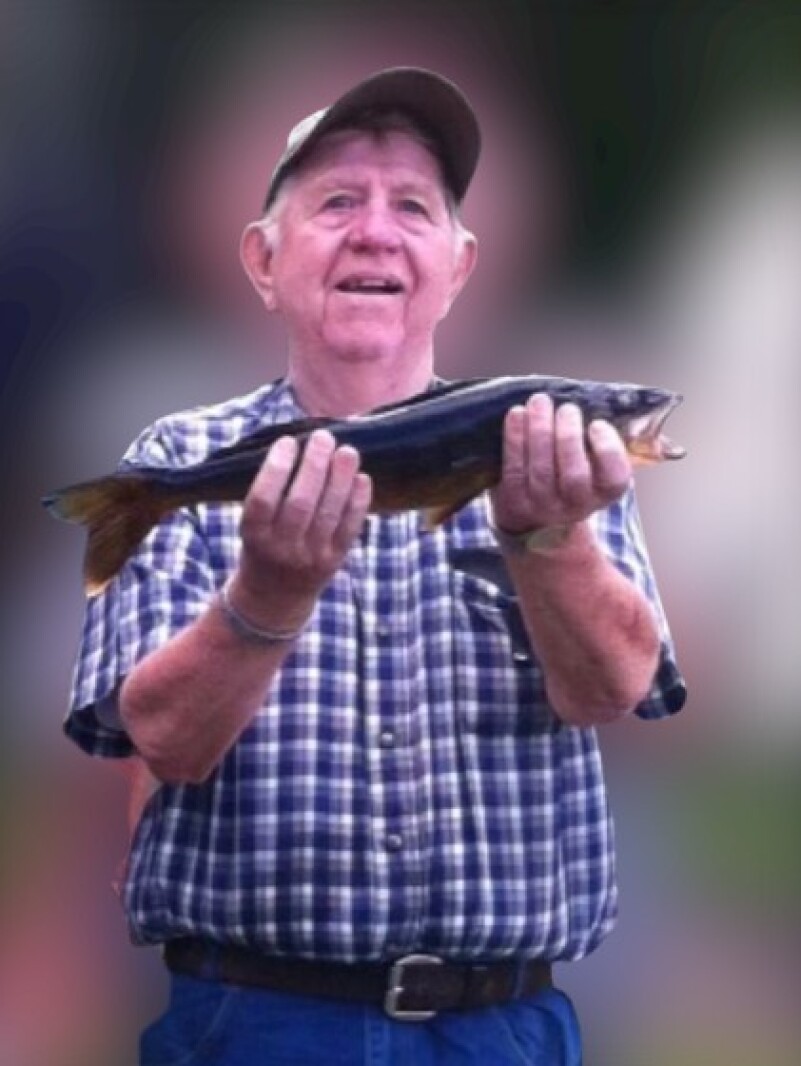 Elmer James Hendrickson - Duluth News Tribune | News, weather, and ...