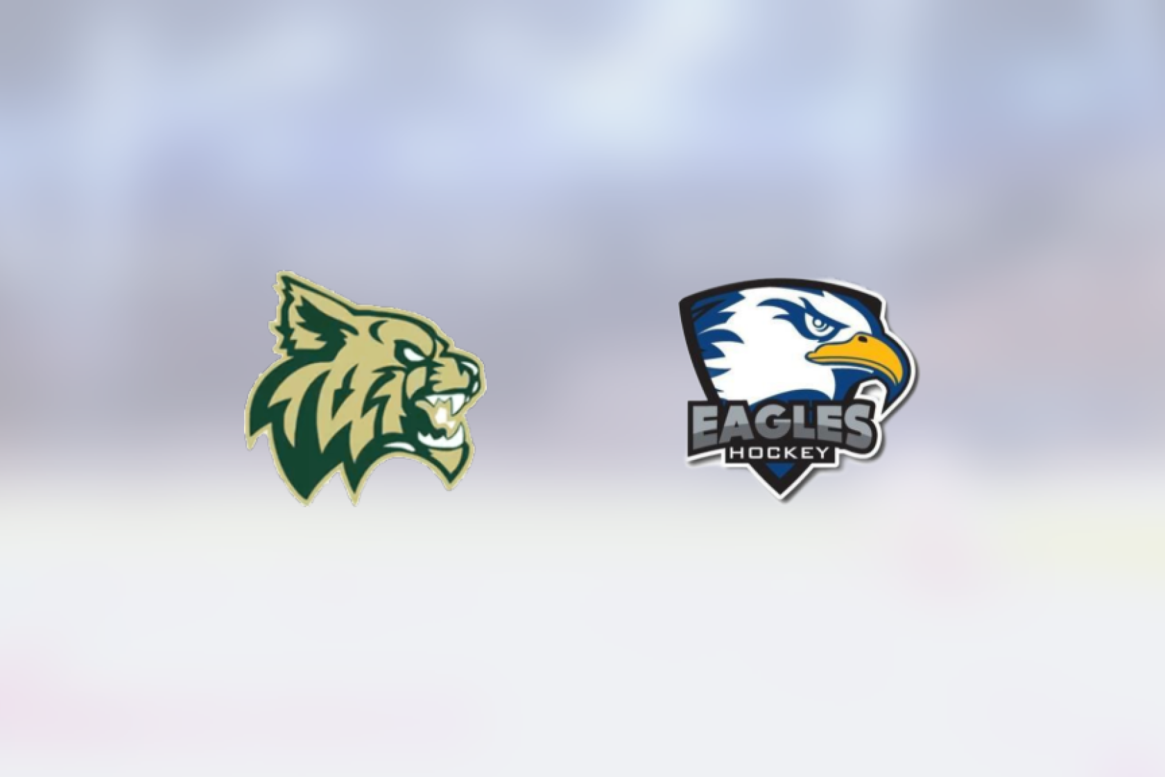 Becker/Big Lake Eagles' winning streak broken by Chisago Lakes Wildcats ...