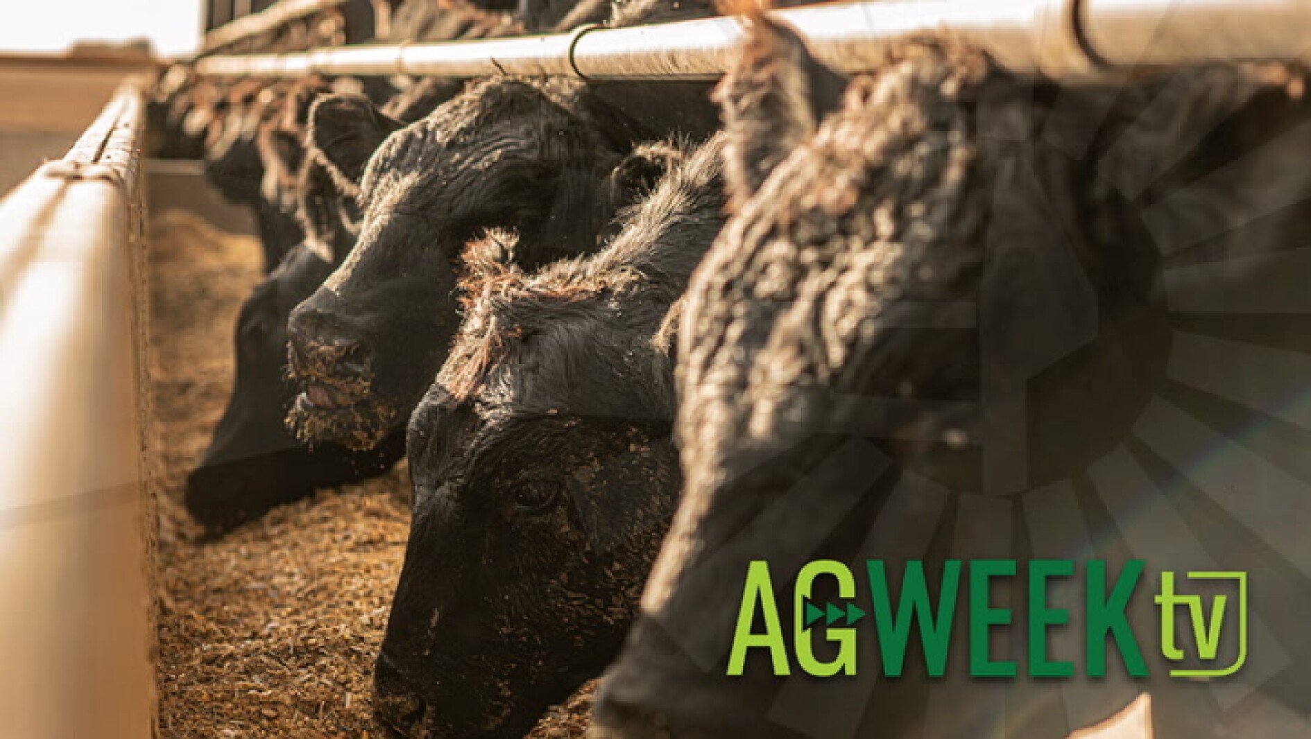AgweekTV Full Show: Avian influenza, disaster relief, container ...