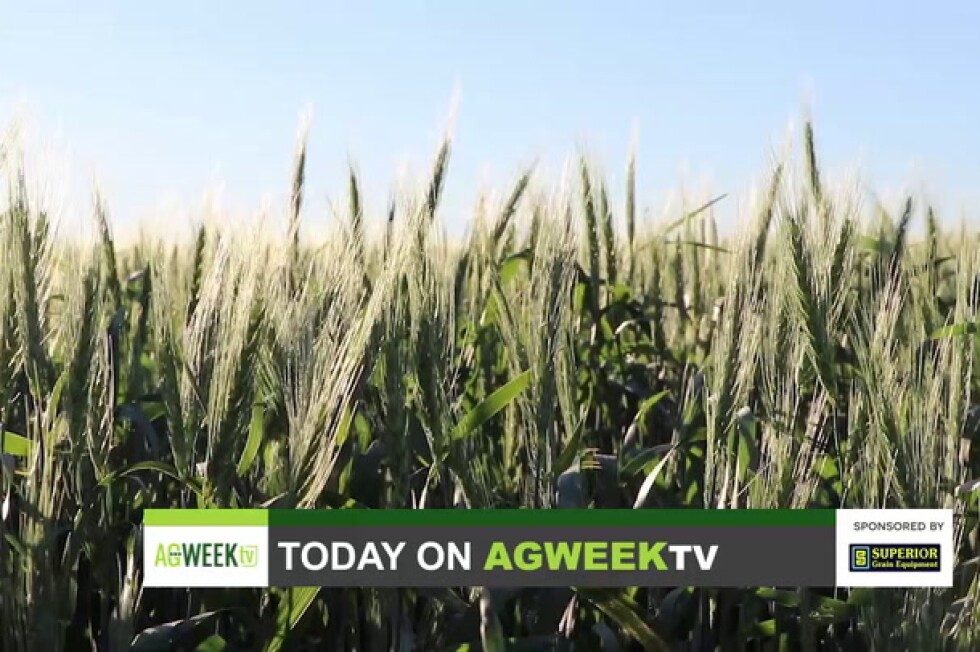 Agweek TV - Agweek | #1 source for agriculture news, farming, markets