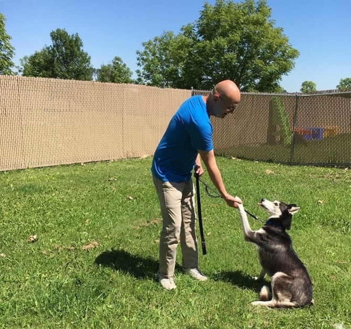 Circle Of Friends Animal Shelter Is A Pet Project Of Seniors Grand circle-of-friends-animal-shelter-is-a-pet-project-of-seniors-grand