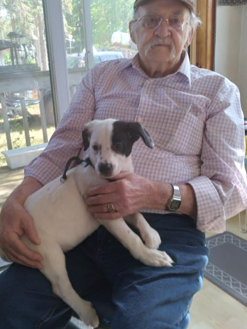 Howard Austin - Brainerd Dispatch | News, weather, sports from Brainerd ...