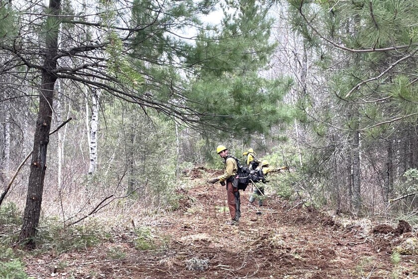 Rain Firefighters Tame Wildfire Near Isabella Duluth News Tribune