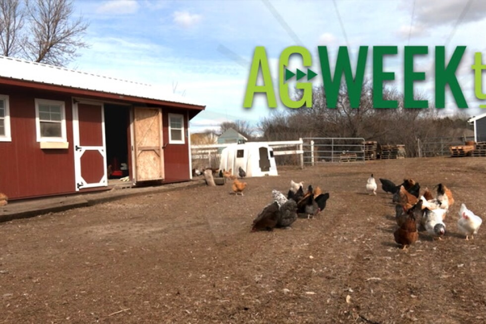 Agweek TV - Agweek | #1 source for agriculture news, farming, markets