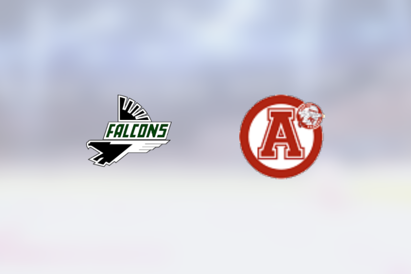 Amundson strikes twice as Faribault Falcons beat Austin Packers - The ...