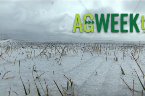 Agweek TV - Agweek | #1 source for agriculture news, farming, markets
