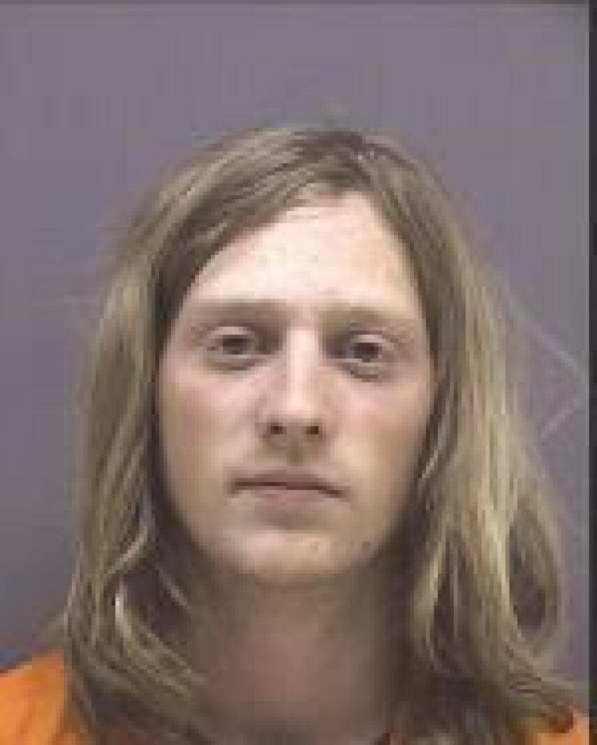Balaton Man Pleads Guilty To Attempted Murder In Roadside Shooting