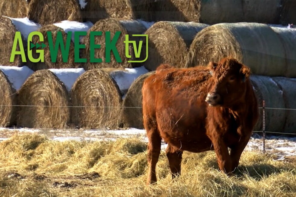 Agweek TV - Agweek | #1 source for agriculture news, farming, markets