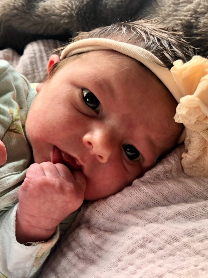 Autumn Mae Duchene - Perham Focus | News, weather, sports from Perham ...