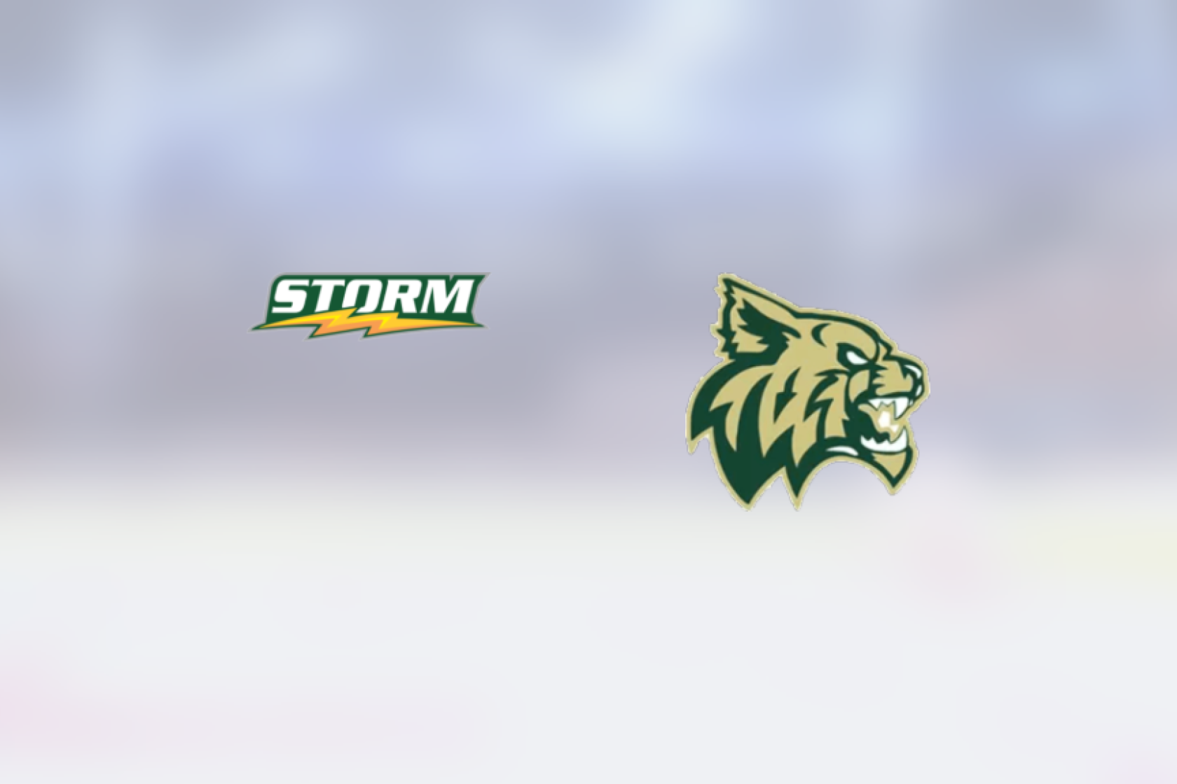 Sauk Rapids-Rice Storm claim overtime win against Chisago Lakes ...