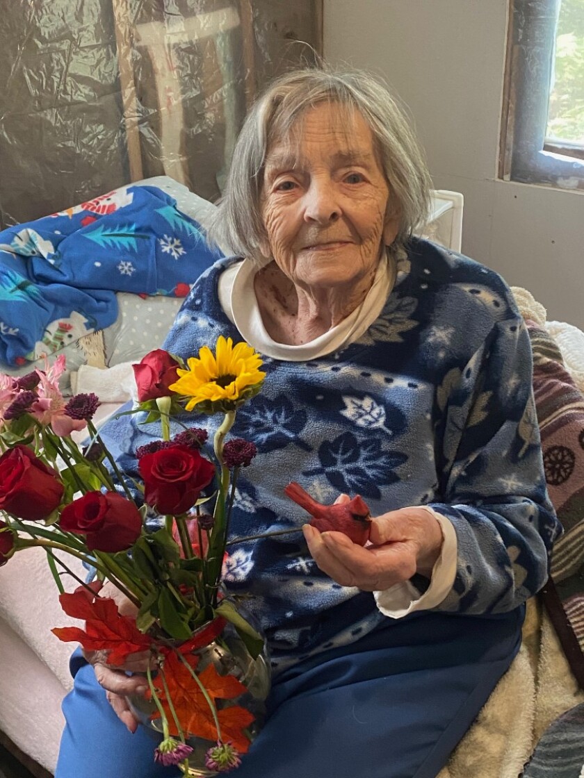 Anna Frame-Newton - Brainerd Dispatch | News, weather, sports from ...