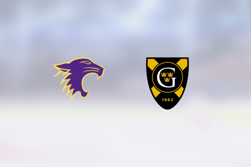 1-0 win for Gustavus Golden Gusties over St. Catherine Wildcats ...