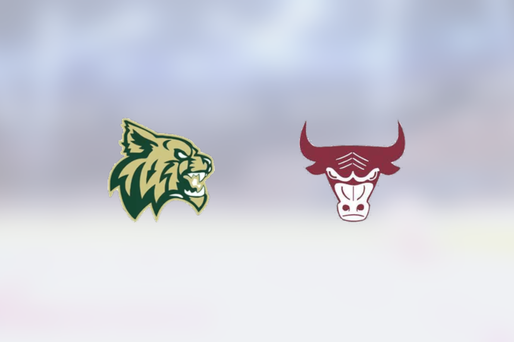 South St. Paul Packers win over Chisago Lakes Wildcats - The Rink Live ...