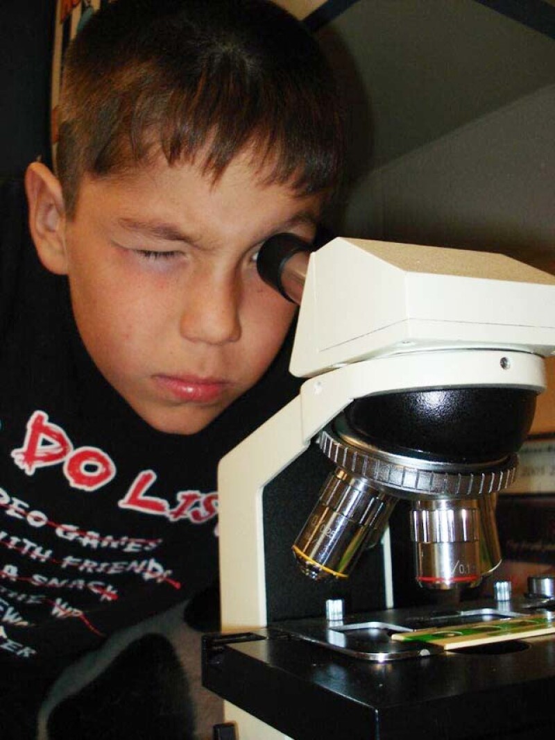 Microscopic view - Wadena Pioneer Journal | News, weather, sports from ... Microscopic view - Wadena Pioneer Journal | News, weather, sports from ...