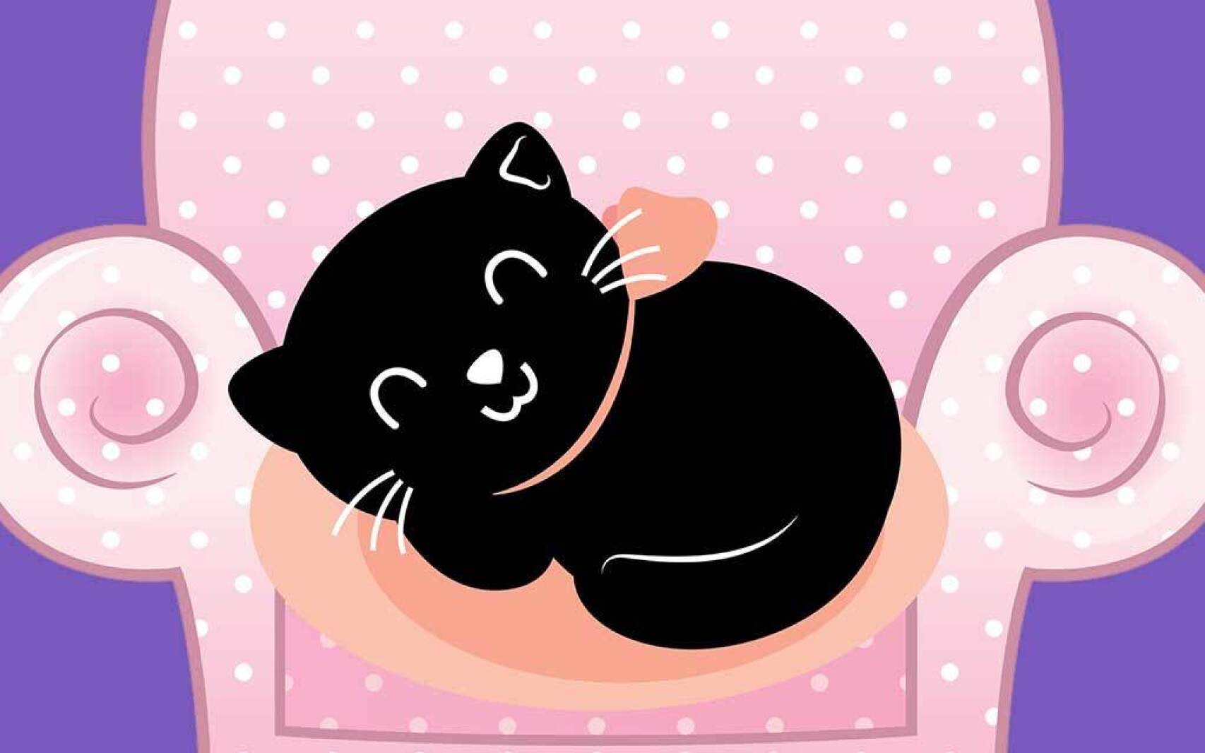 The Big Bang Theory Lawsuit Surfaces Over Soft Kitty Lyrics
