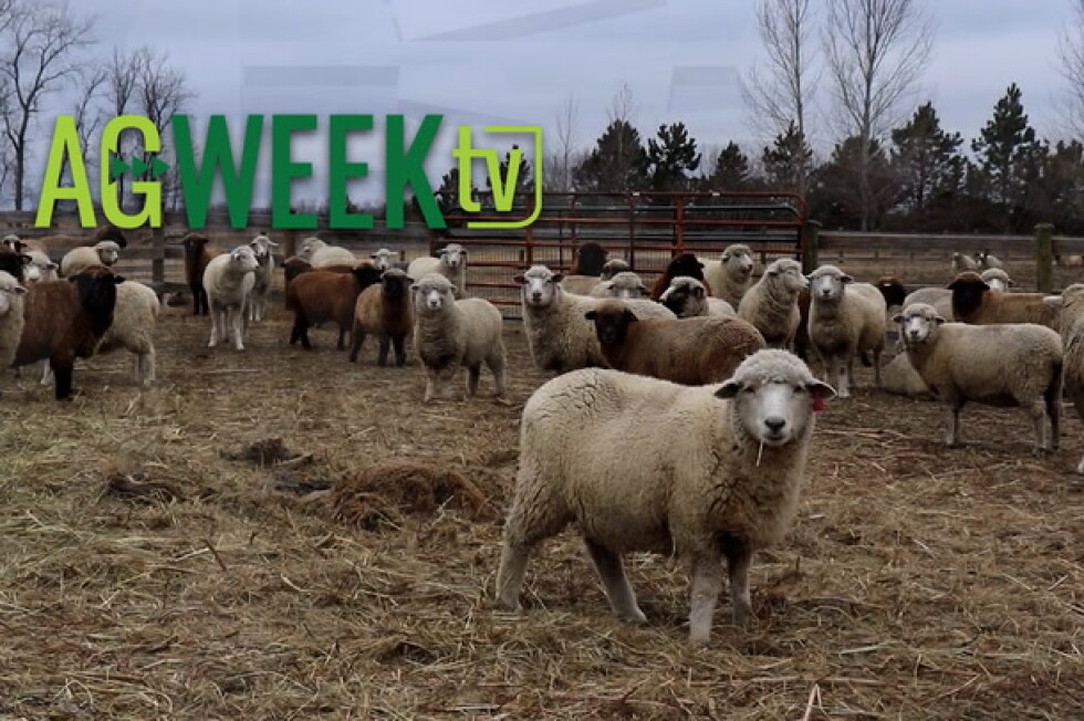 Agweek TV - Agweek | #1 source for agriculture news, farming, markets