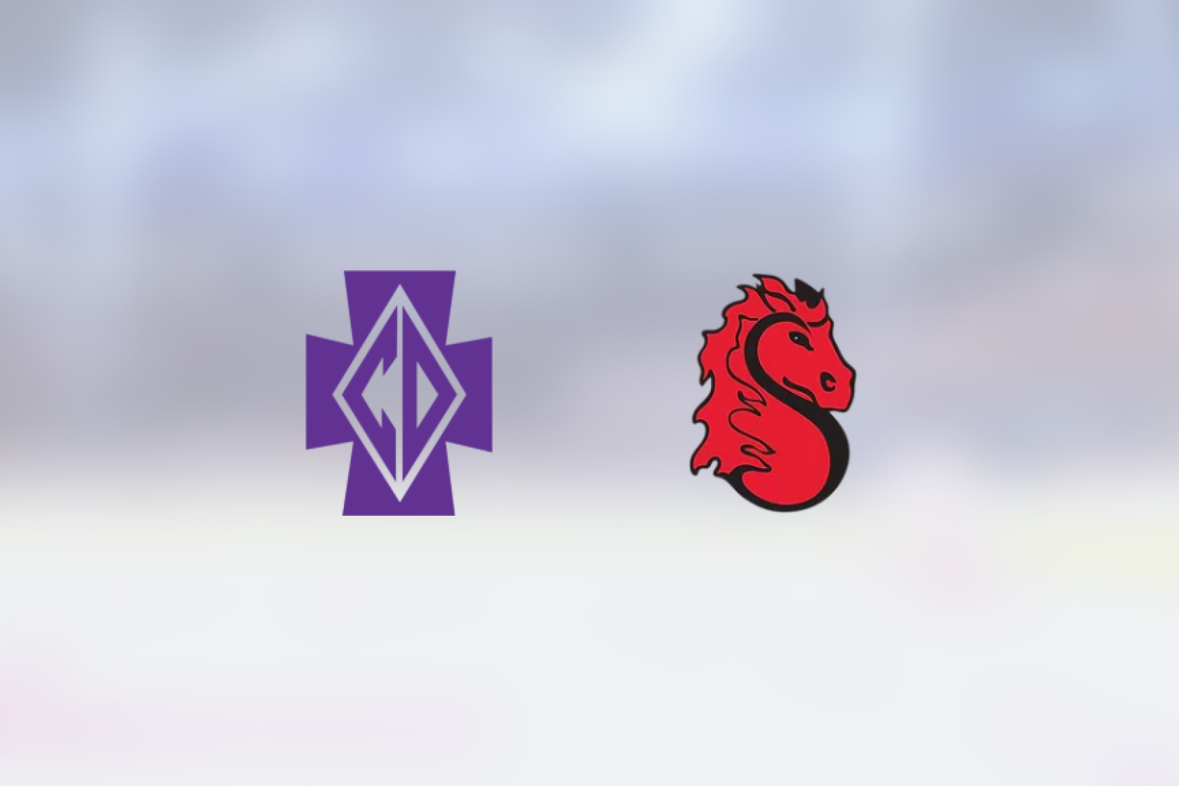 Cretin-Derham Hall Raiders dig deep in the third to win against ...