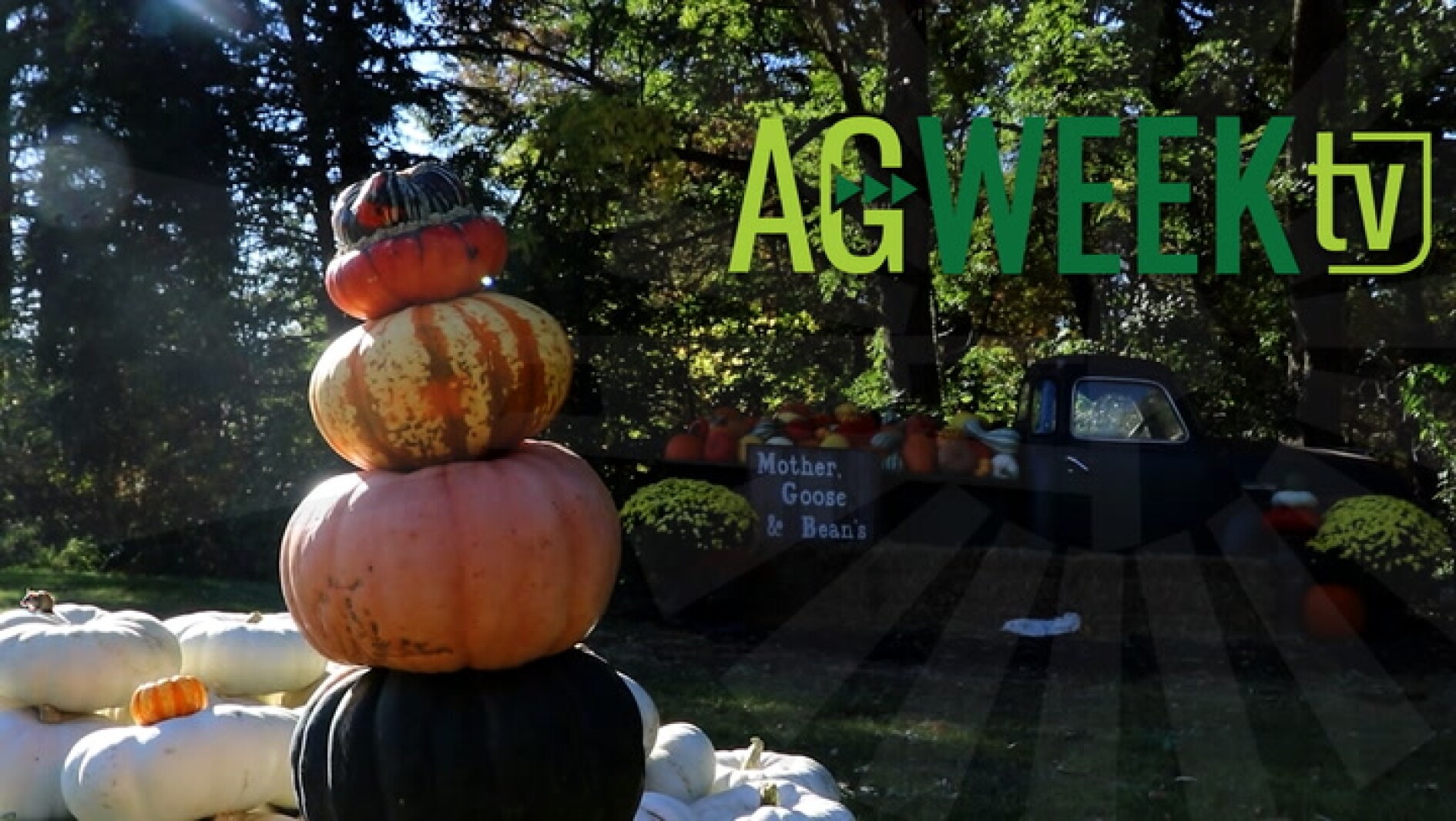 AgweekTV Full Show: Harvest, hunting fires, aging on the farm, fall ...