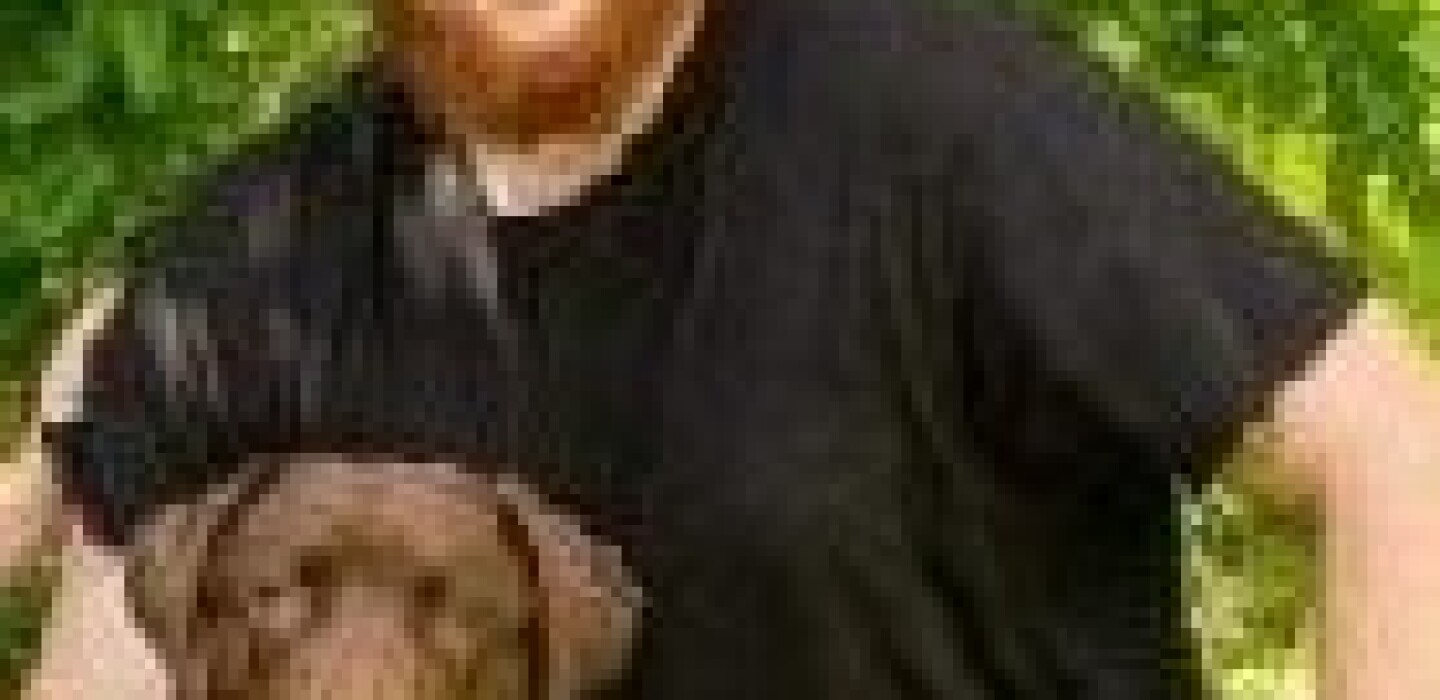 Bryce Brogle - Brainerd Dispatch | News, weather, sports from Brainerd ...