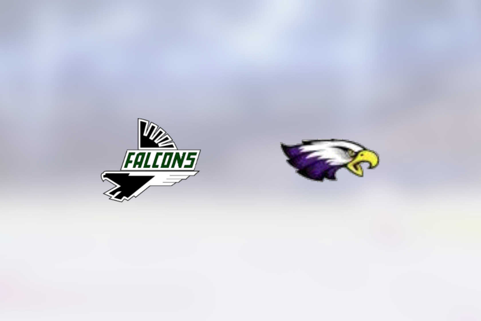 Faribault Falcons win and move on - The Rink Live | Comprehensive ...