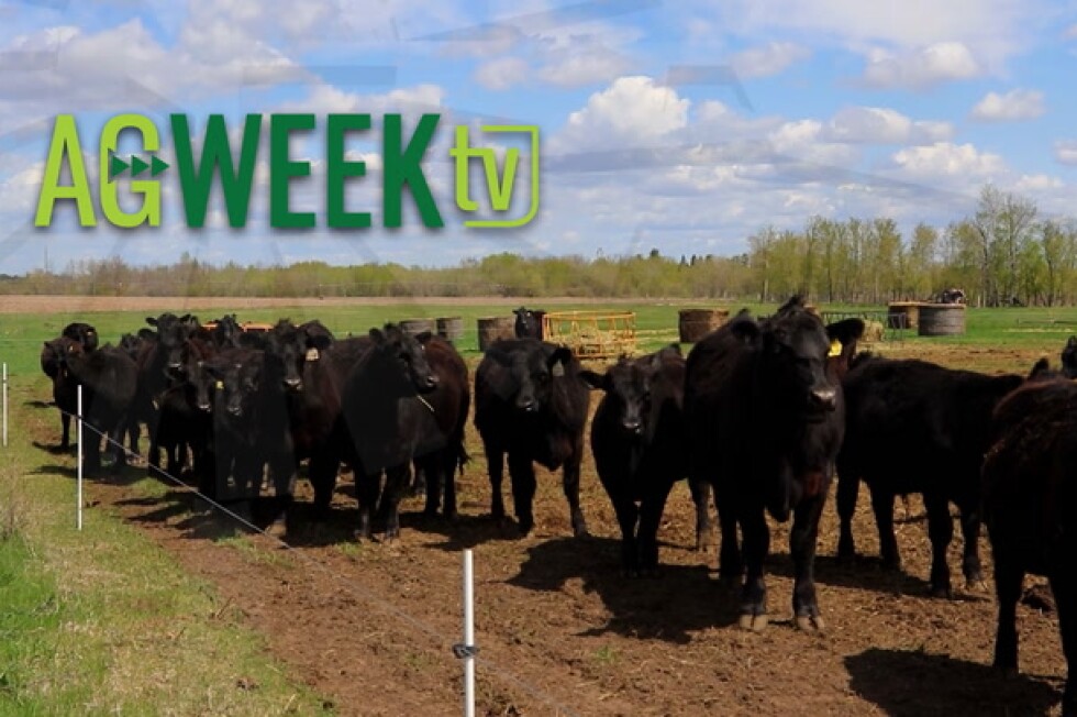 Agweek TV - Agweek | #1 source for agriculture news, farming, markets