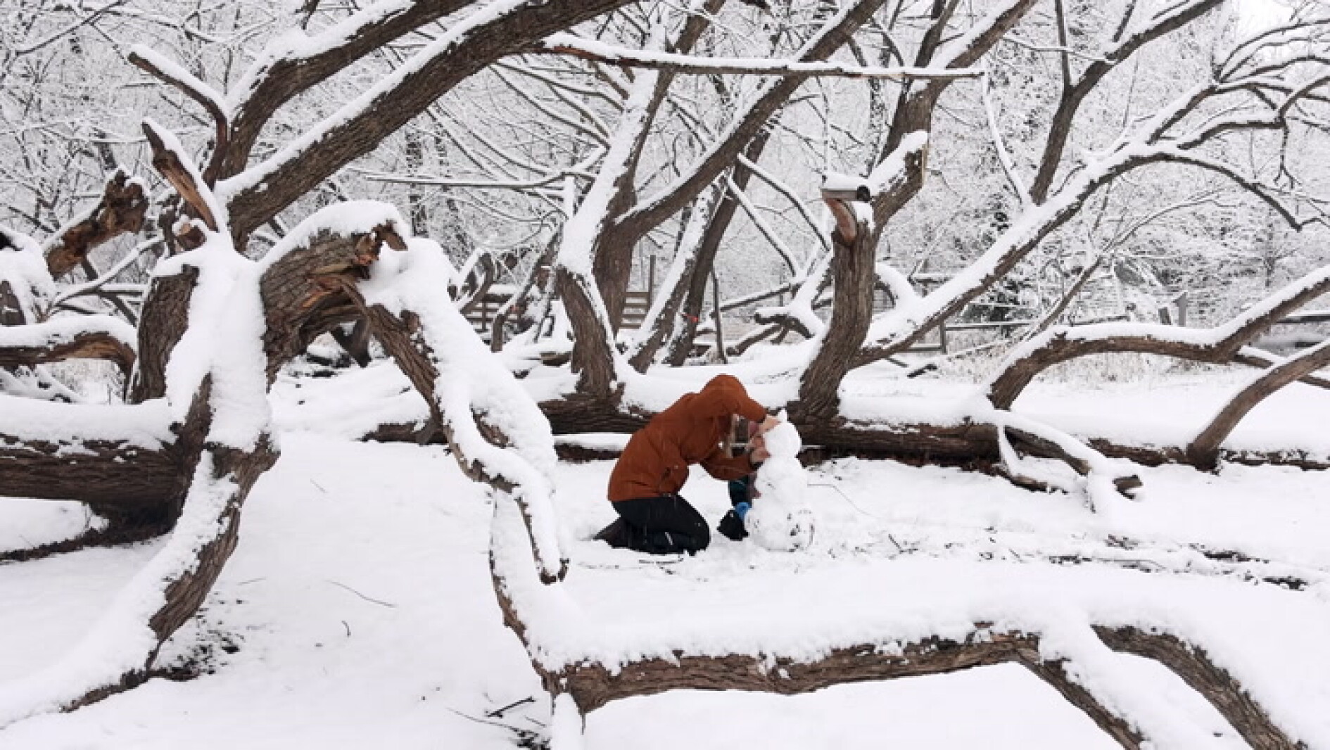 Snowy Day at Hartley Park - Duluth News Tribune | News, weather, and ...