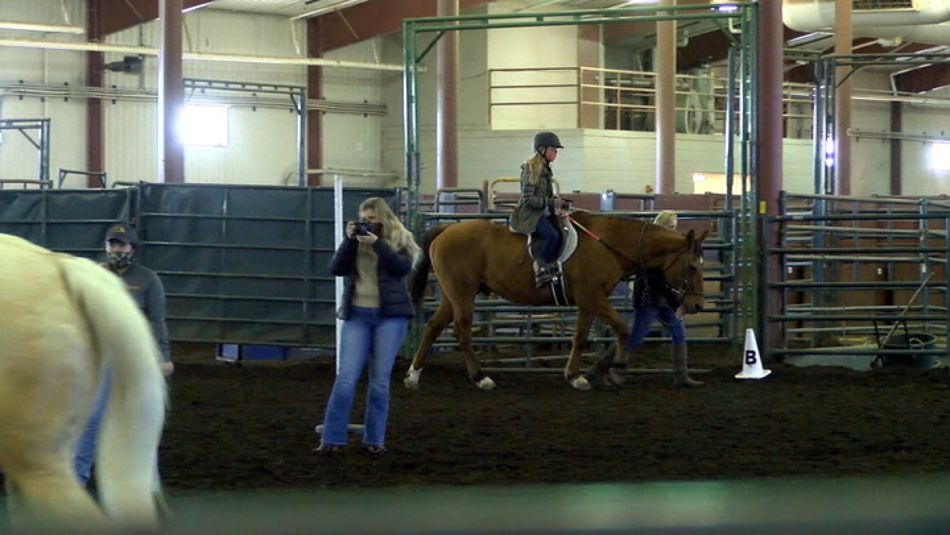 North Dakota State University equine therapy 'unlike anything I can ...