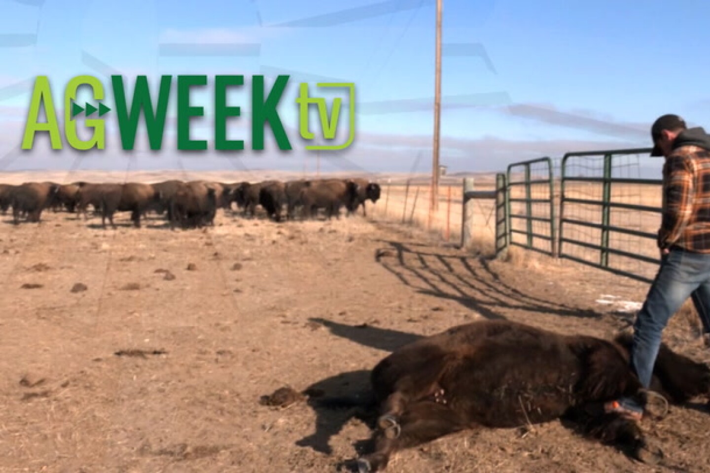 Get to know ag YouTubers Chet Larson and Brian Brown - Agweek | #1 ...