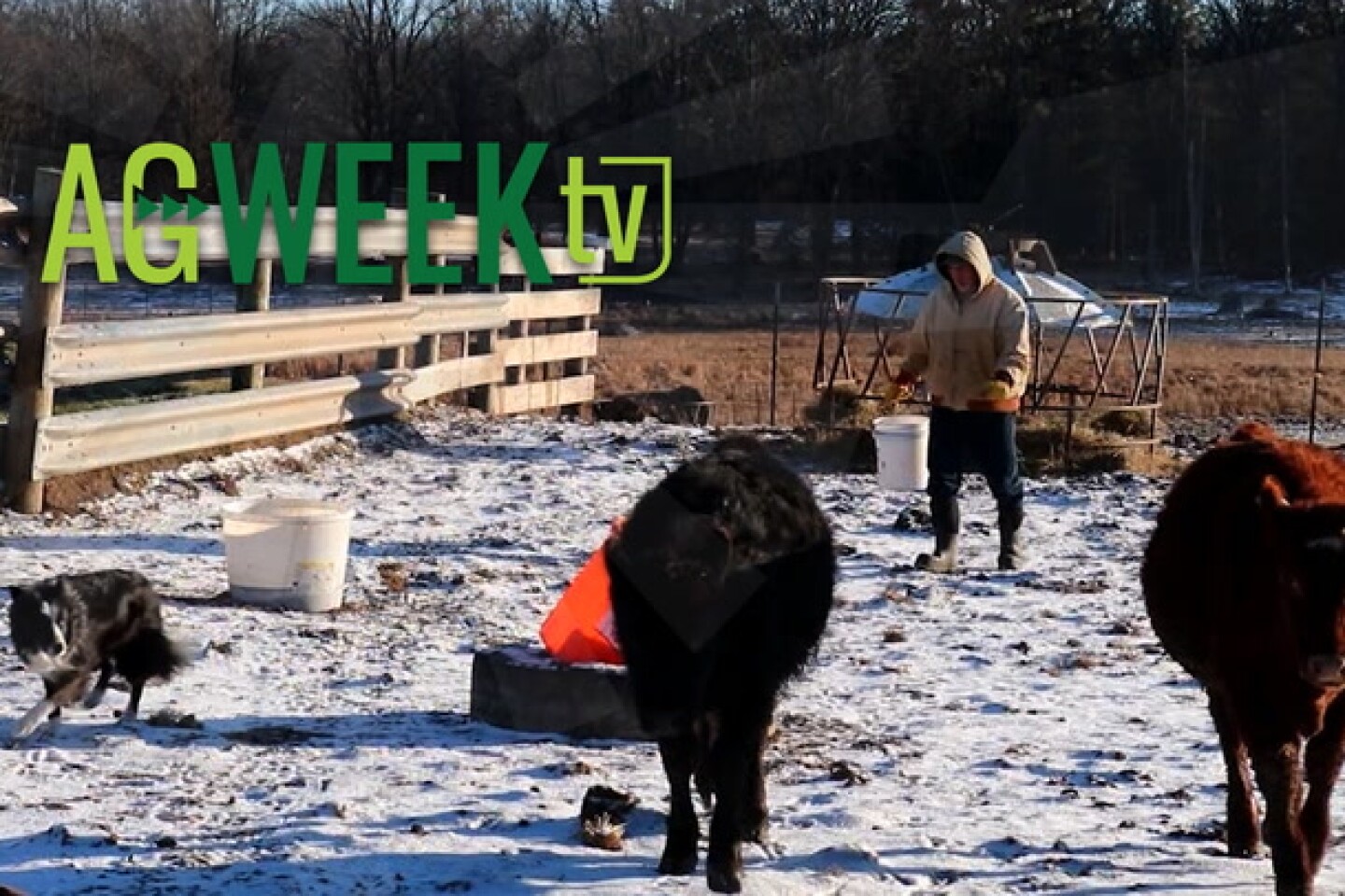 Get to know ag YouTubers Chet Larson and Brian Brown - Agweek | #1 ...