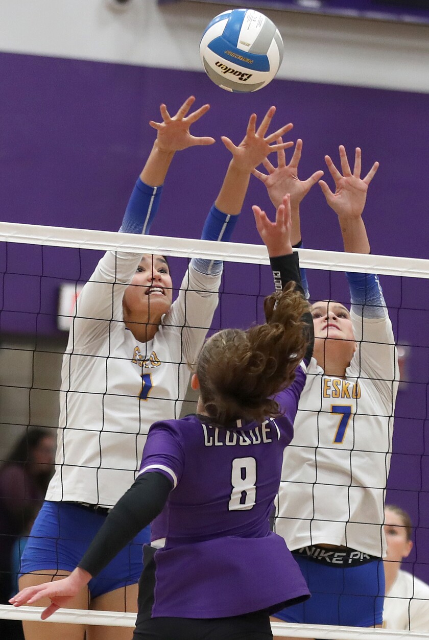 Presenting The 2023 Cloquet Pine Journal All Area Volleyball Team