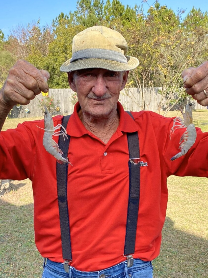 Jerry Pratt - Brainerd Dispatch | News, weather, sports from Brainerd ...