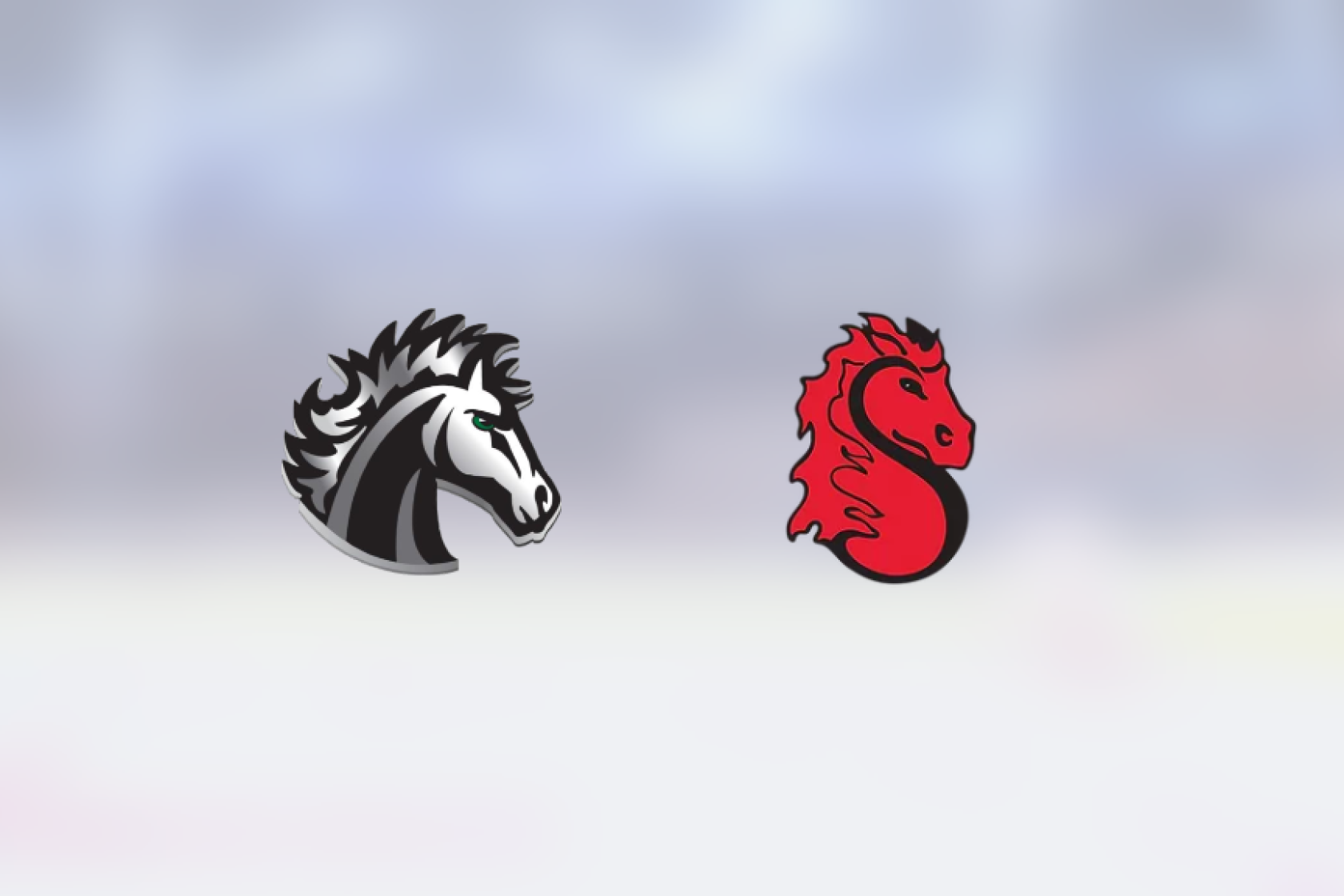 Blake Vanek scores four in Stillwater Area Ponies win over Mounds View ...