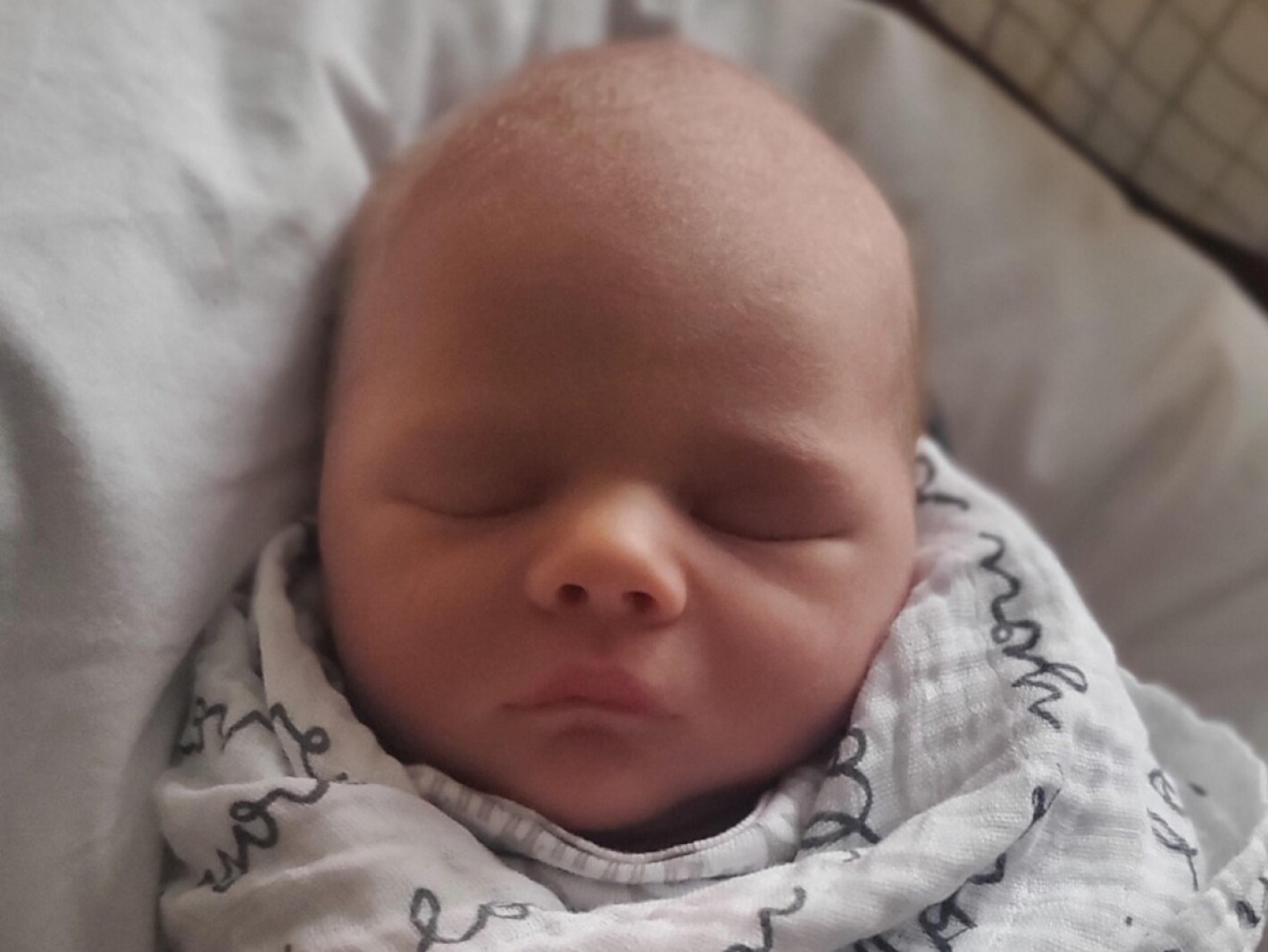 Chase Michael Haberman - Perham Focus | News, weather, sports from ...