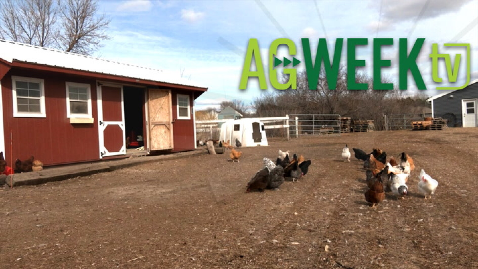 AgweekTV Full Show: Arthur Companies wheat, federal funding freeze ...