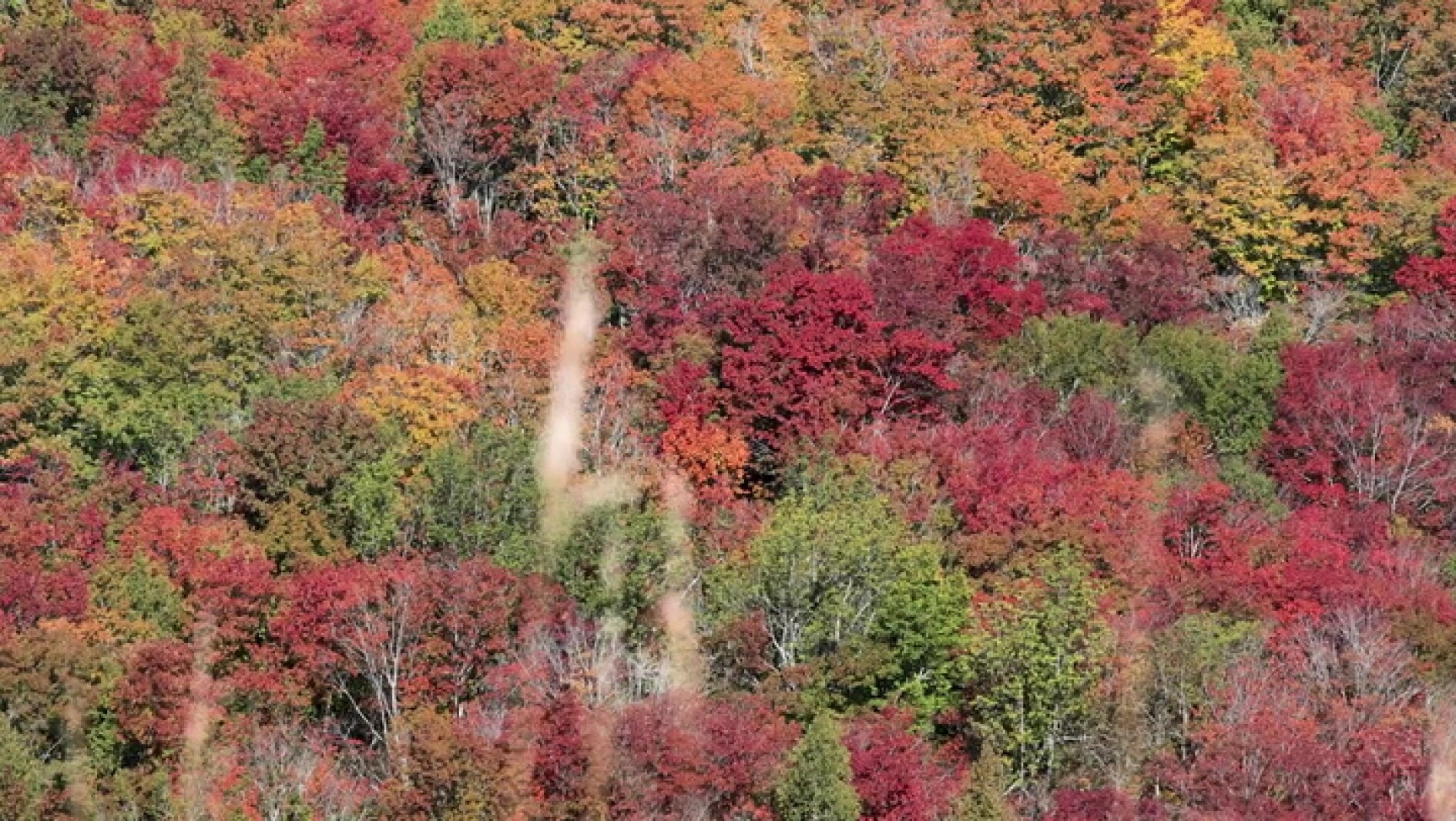 Lutsen Fall Colors 2024 - Duluth News Tribune | News, weather, and ...