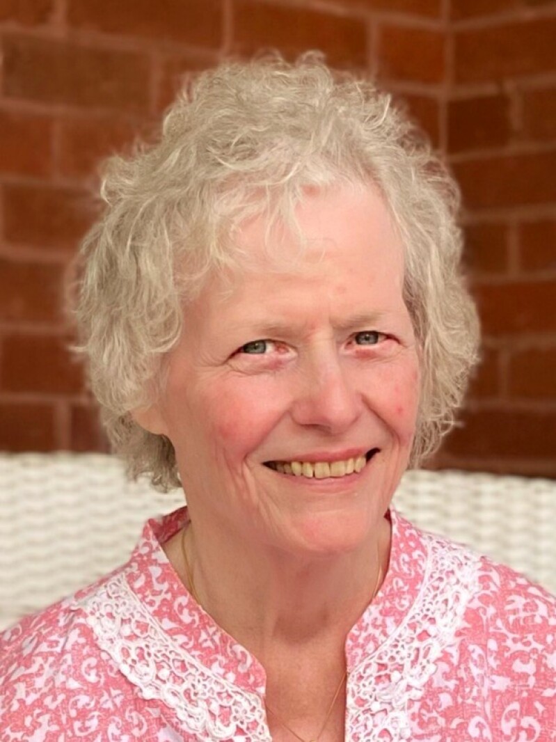 Dee Ann Davidson - Brainerd Dispatch | News, weather, sports from ...