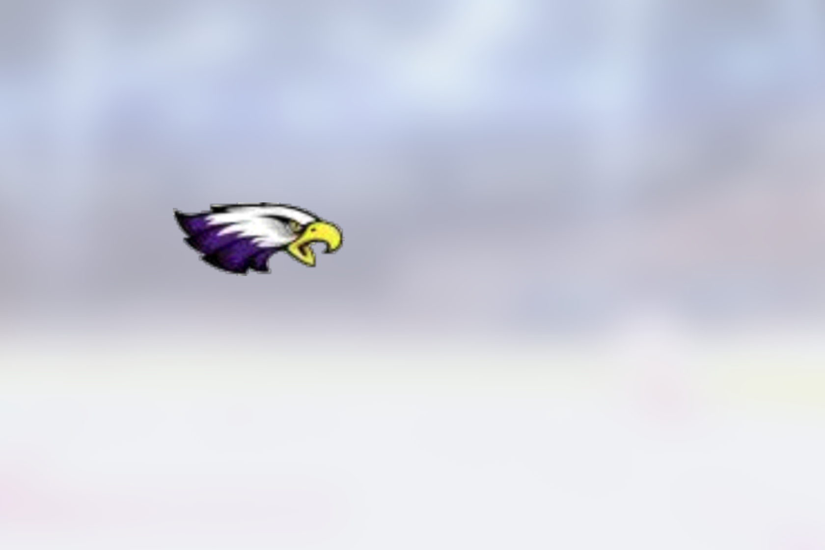 Red Wing Wingers fall in 1-2 loss to St. Paul - The Rink Live ...