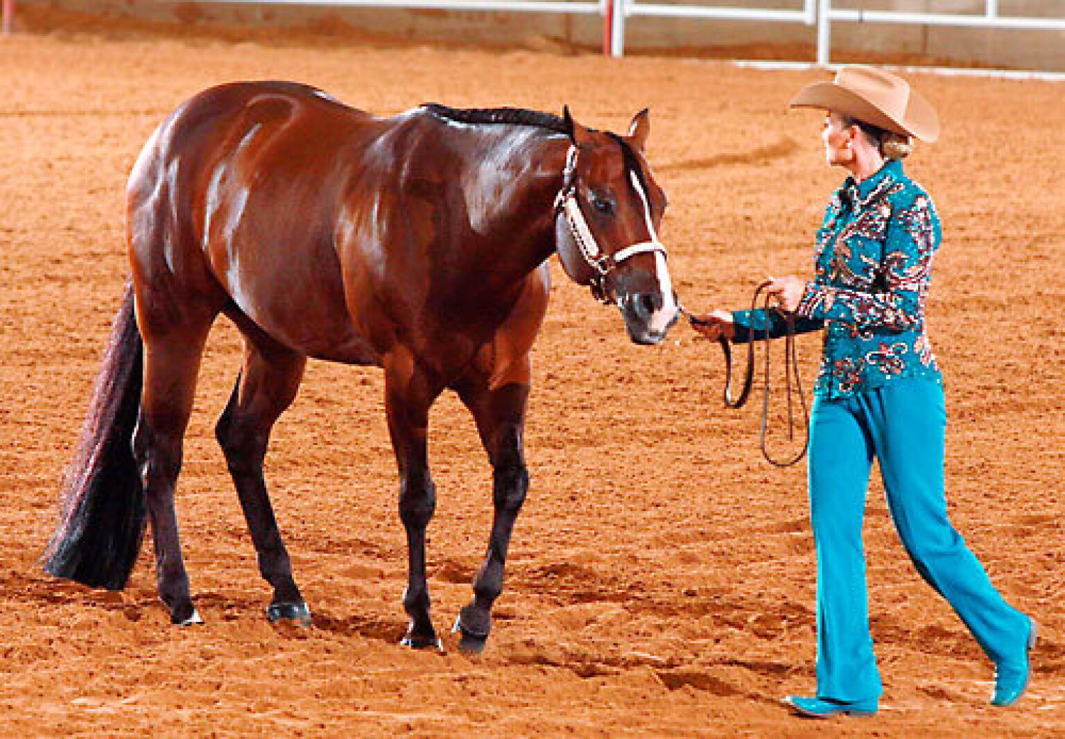 Evansville Woman Wins At World Championship Horse Show Alexandria evansville-woman-wins-at-world-championship-horse-show-alexandria