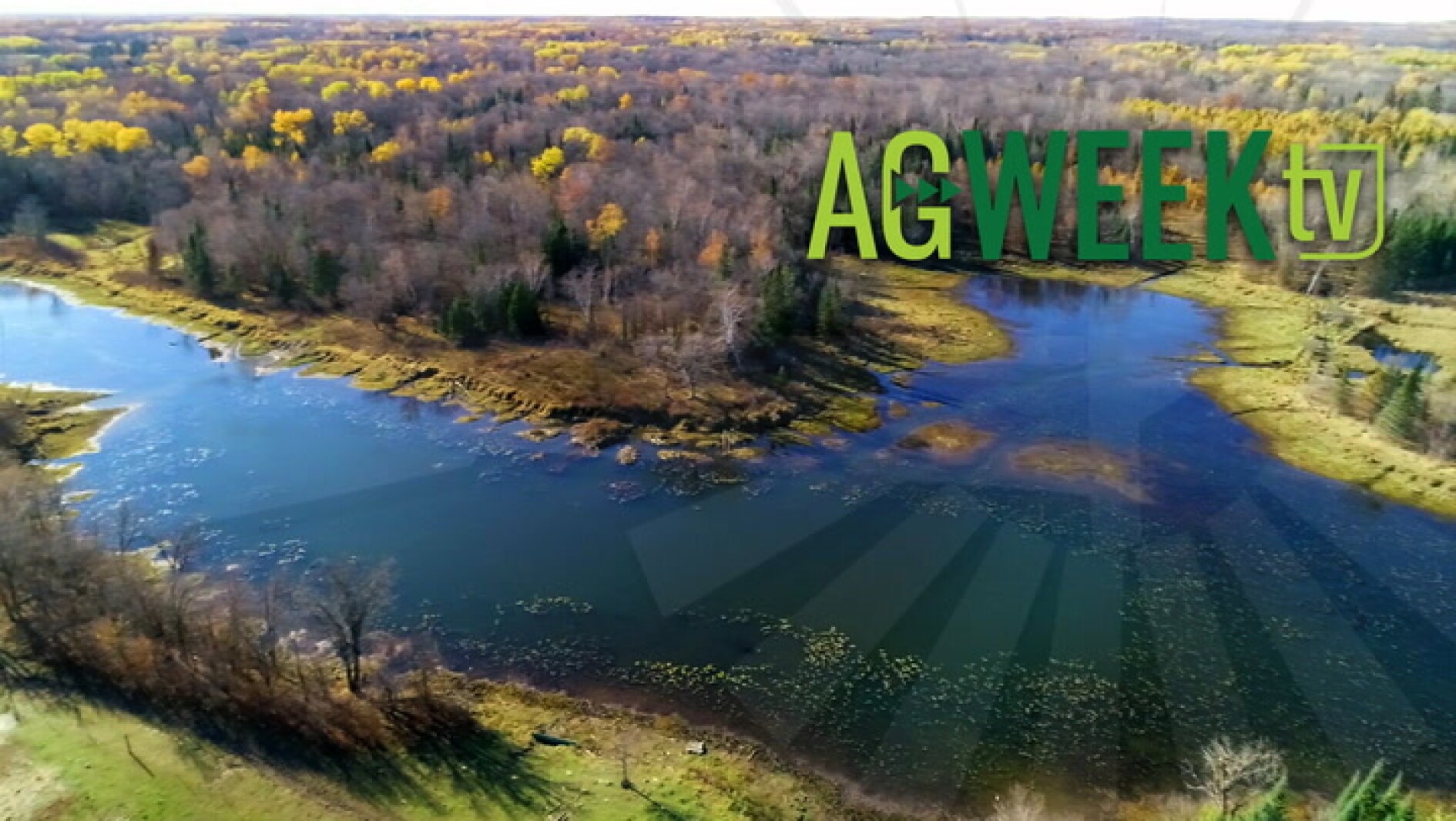 Bison rancher looks to cut out the middleman by letting customers ...