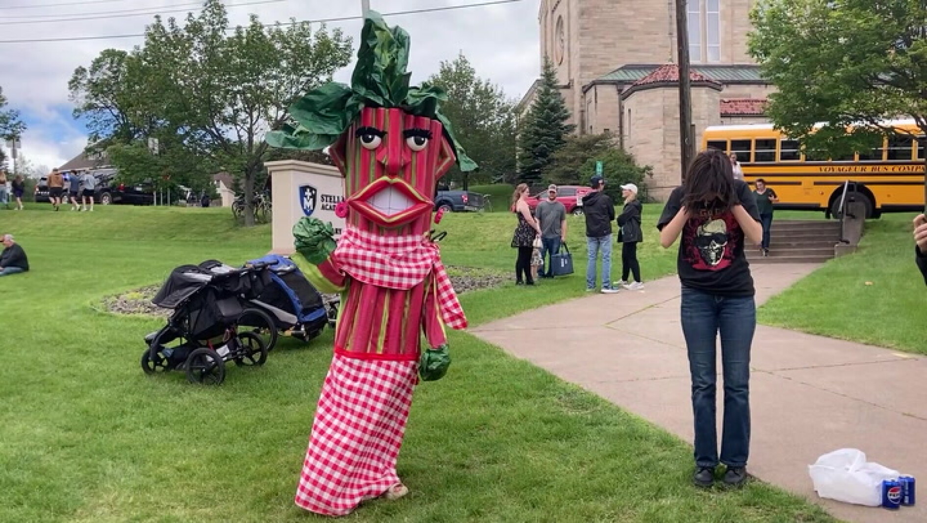 The 2024 Super Rhubarb Festival in Duluth - Duluth News Tribune | News ...