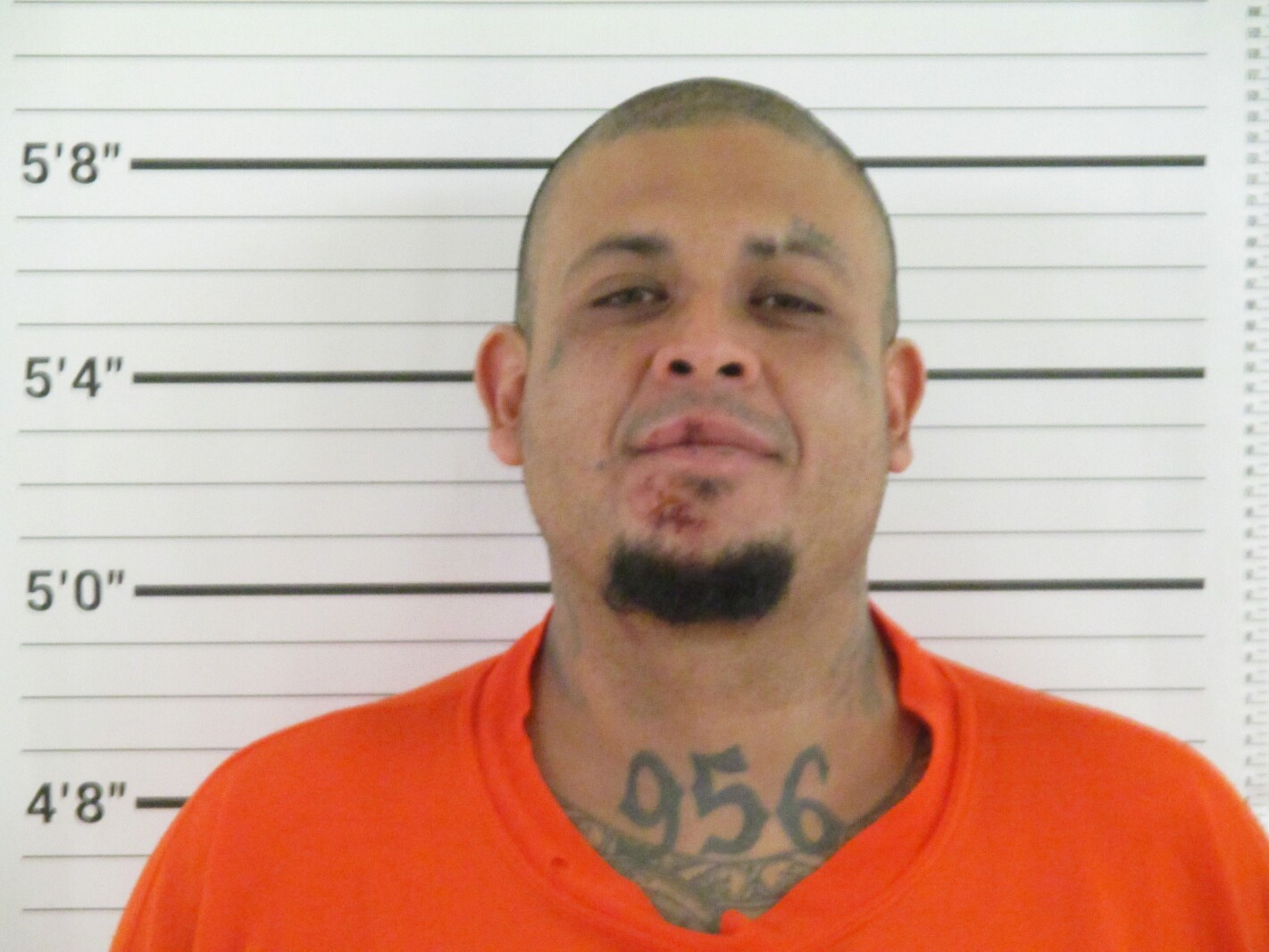 Man Stole Car Fled From Law Enforcement And Assaulted Officer Charges man-stole-car-fled-from-law-enforcement-and-assaulted-officer-charges