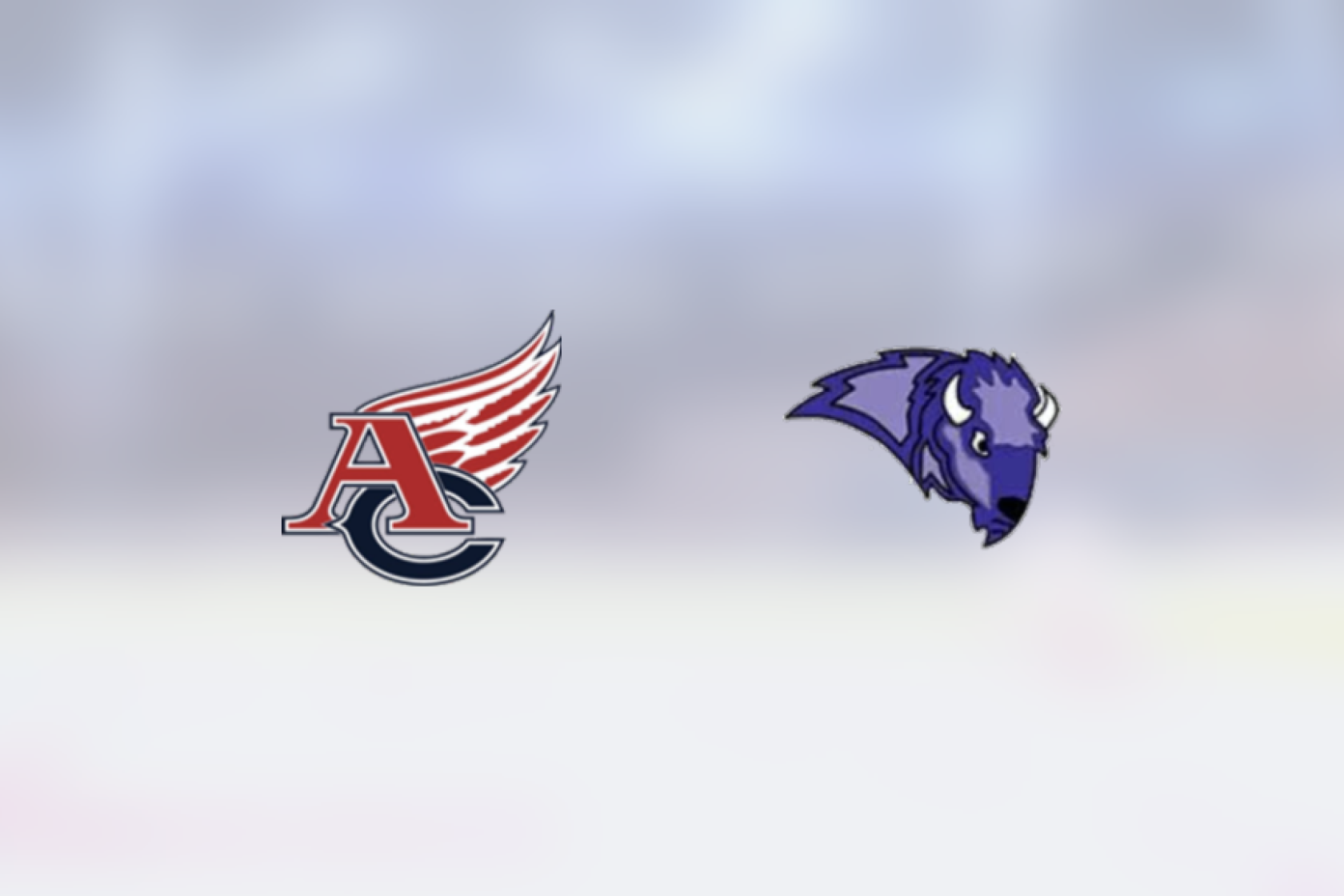 Points were split as Armstrong/Cooper Wings faced Buffalo Bison - The ...