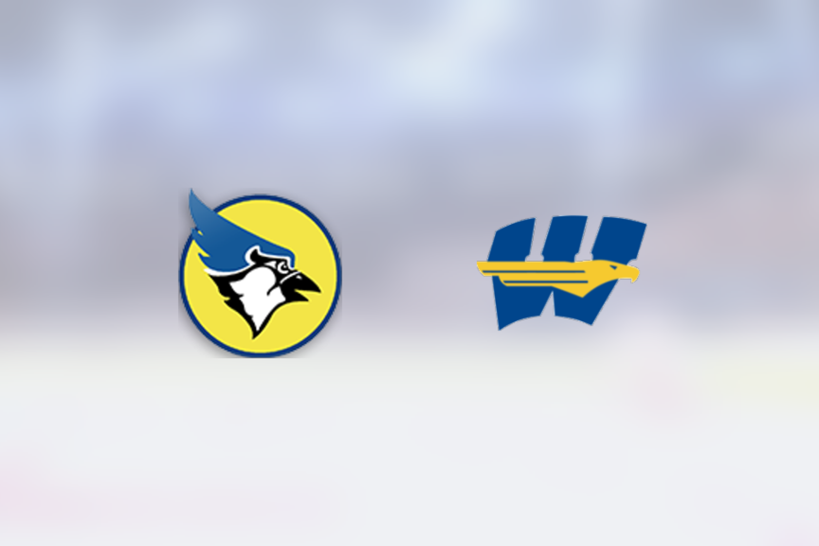Sharp-shooting duo wins the game for Waseca Bluejays against Windom ...