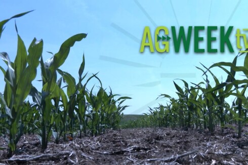 Agweek TV - Agweek | #1 source for agriculture news, farming, markets