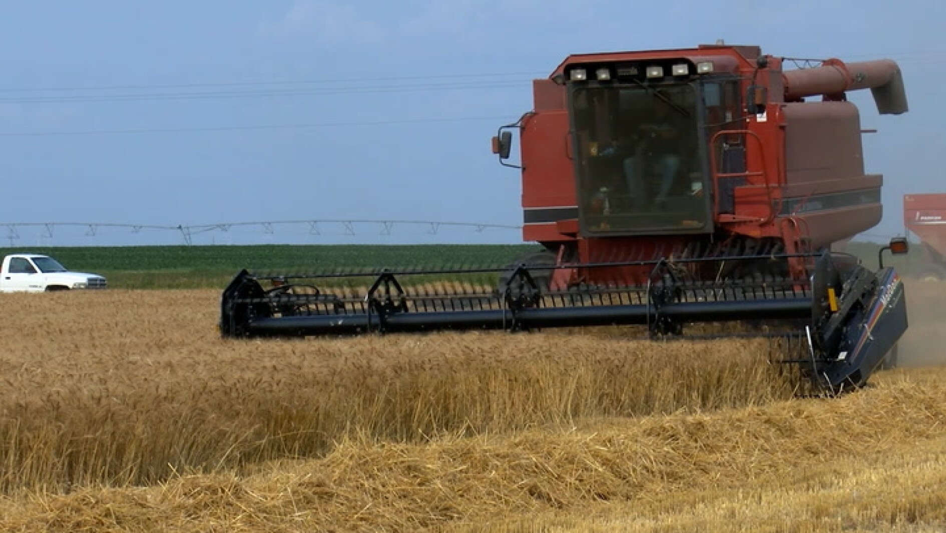 South Dakota spring wheat crop a near disaster - Agweek | #1 source for ...