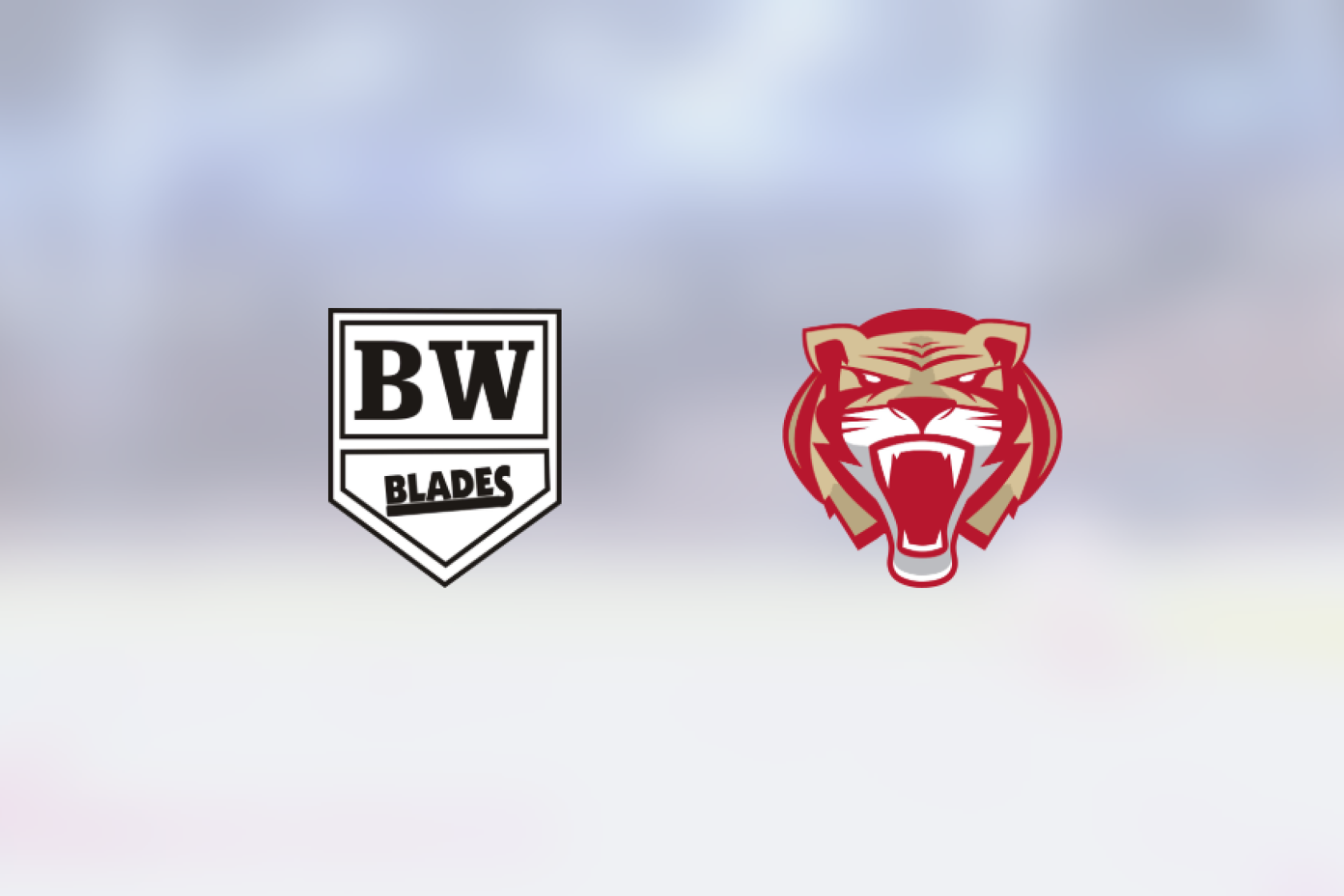 Breckenridge Blades beat Kittson County Central Bearcats - The Rink ...