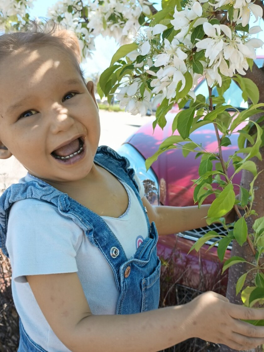 Lucille Rose Claussen - Brainerd Dispatch | News, weather, sports from ...